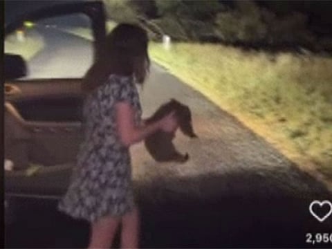 Australia tells US influencer: 'leave baby wombat alone'