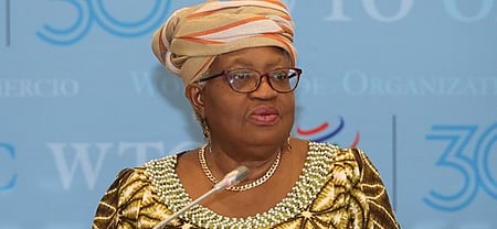 WTO chief stresses need to learn from history on US push for import ...