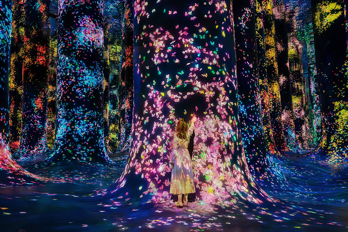 Newest cultural landmark teamLab Phenomena Abu Dhabi makes waves