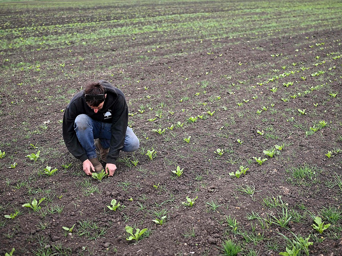 UK farmers grapple with worst spring drought in nearly 70 years