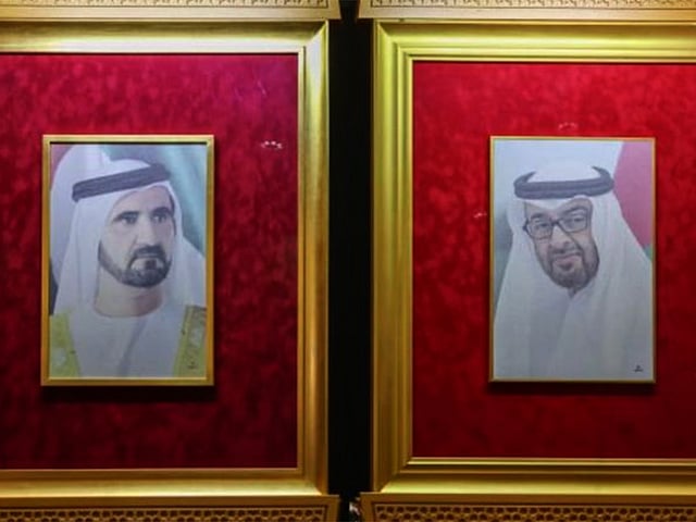 Sparkling tribute: Diamond-encrusted portraits of UAE leaders unveiled ...