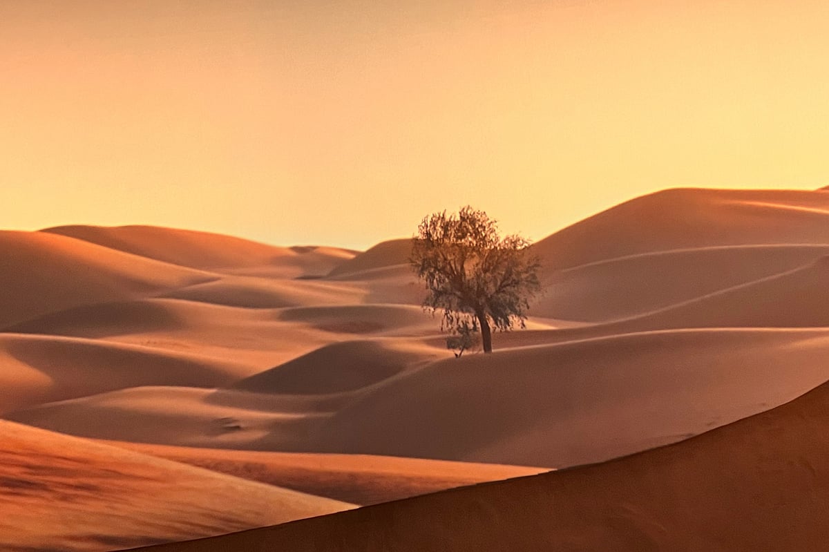Reader photos: UAE’s beauty from landscapes to skylines