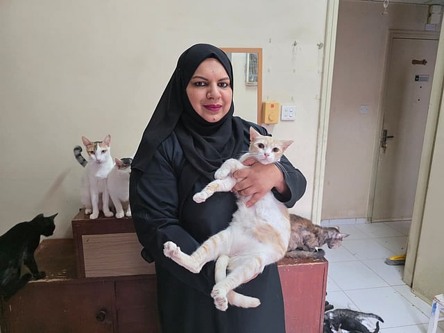Pakistani expat in UAE caring for 65 rescued cats faces eviction in Dubai