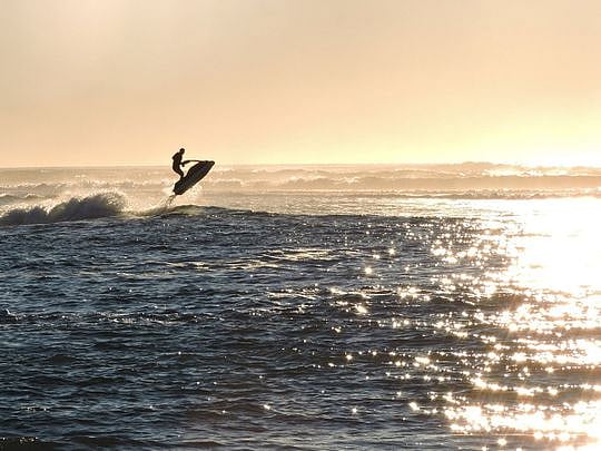 Missing Australian surfer likely killed by shark: Police