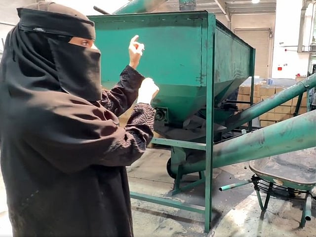 Saudi Arabia’s workforce in 2024: 78,000 women in senior roles, 551,000 ...