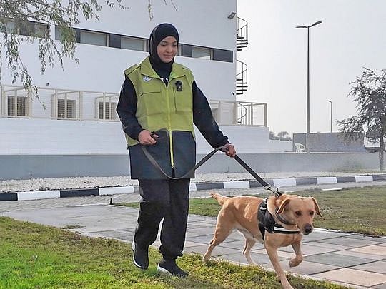 UAE: Meet first Emirati woman to train tracking dogs in Ras Al Khaimah ...