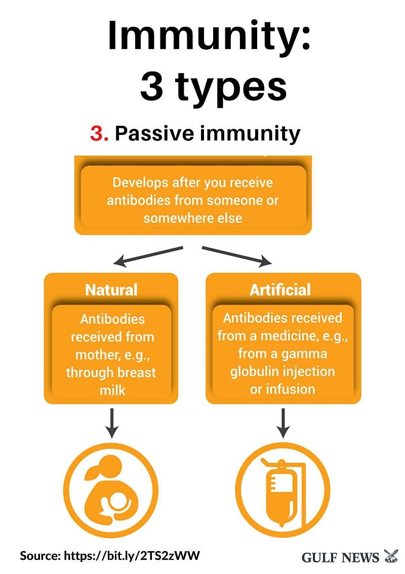Immunity Types 3 Main Types Of Immunity Immunology