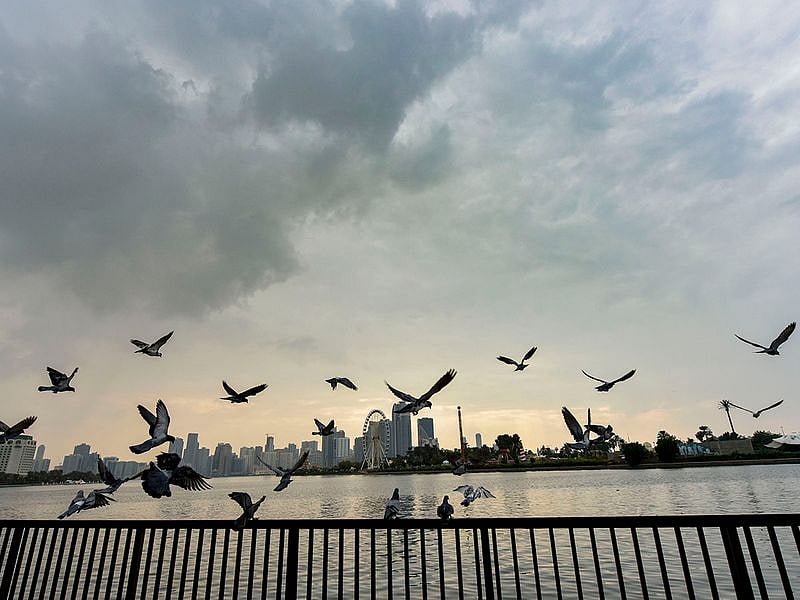 UAE weather forecast: Fog alerts, temperature drop, and rain expected ...