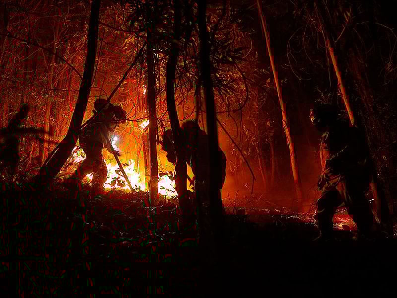 Chile Wildfires: State of Emergency Declared as Death Toll Rises to 15
