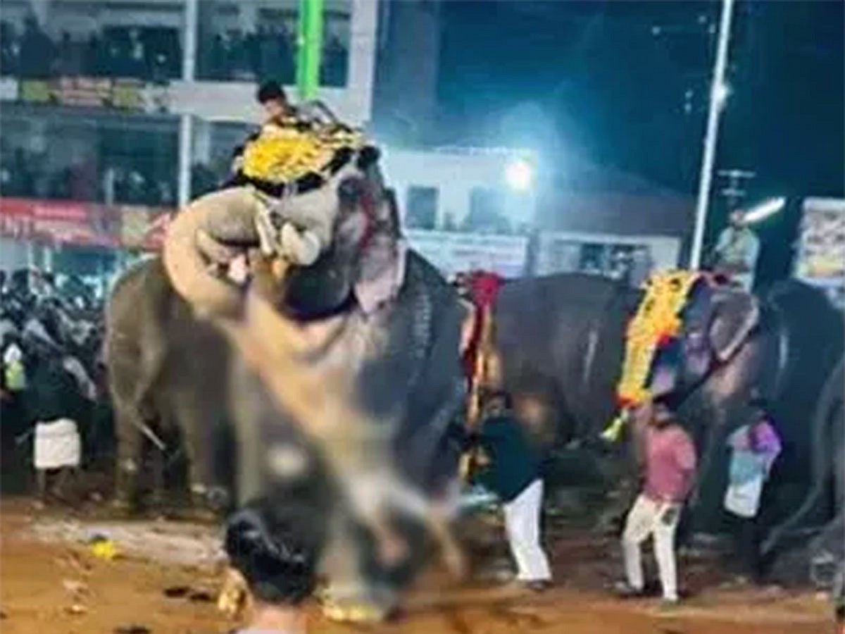 Video: Elephant rampage at Kerala festival leaves 17 injured