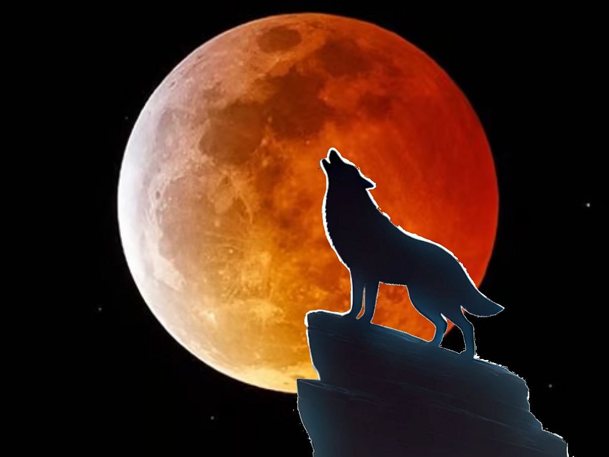 What is the 'Wolf Moon'? A celestial spectacle to behold
