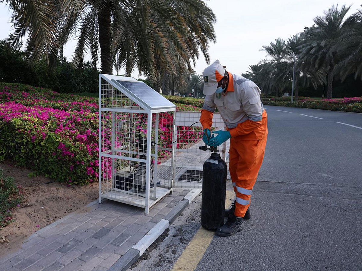 Watch: Sharjah deploys 90 smart traps to combat mosquitoes