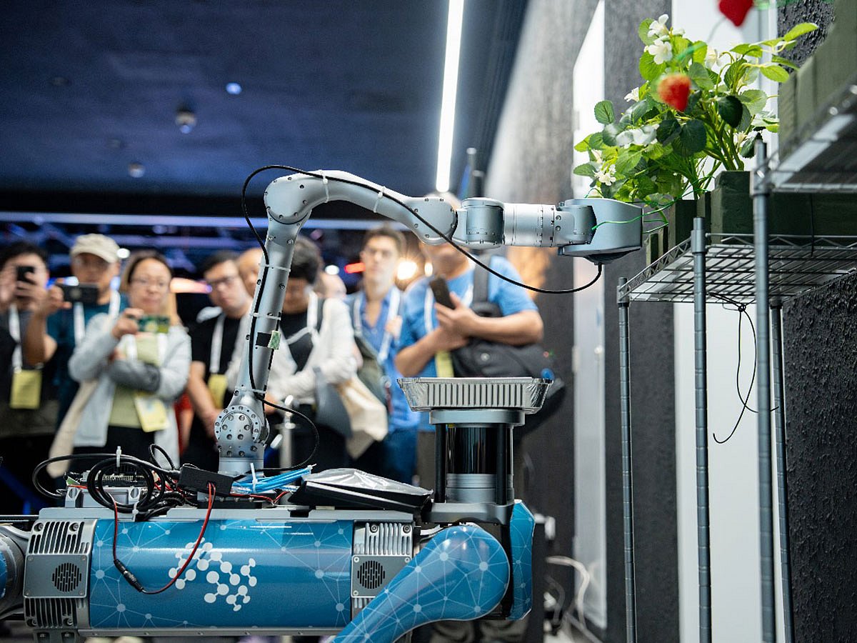 Made in UAE AI robot that picks ripe strawberries better than humans