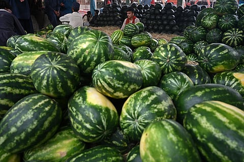 Arab woman asks ChatGPT to pick watermelon — and it goes viral for ...