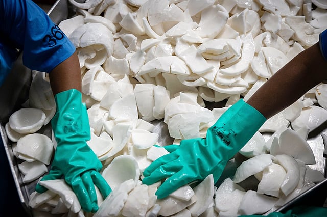 Coconuts get pricier as poor weather drives global shortage
