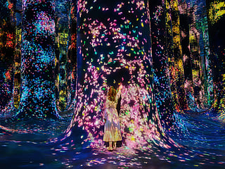 TeamLab Phenomena: New attraction on Saadiyat Cultural District to open ...