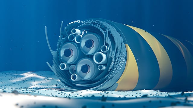 Google, Meta’s Red Sea cable delays can slow internet speeds in the UAE