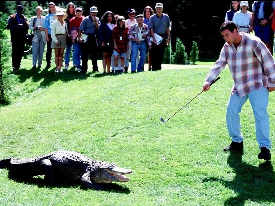 Alligator that starred in 'Happy Gilmore' dies of old age in Colorado