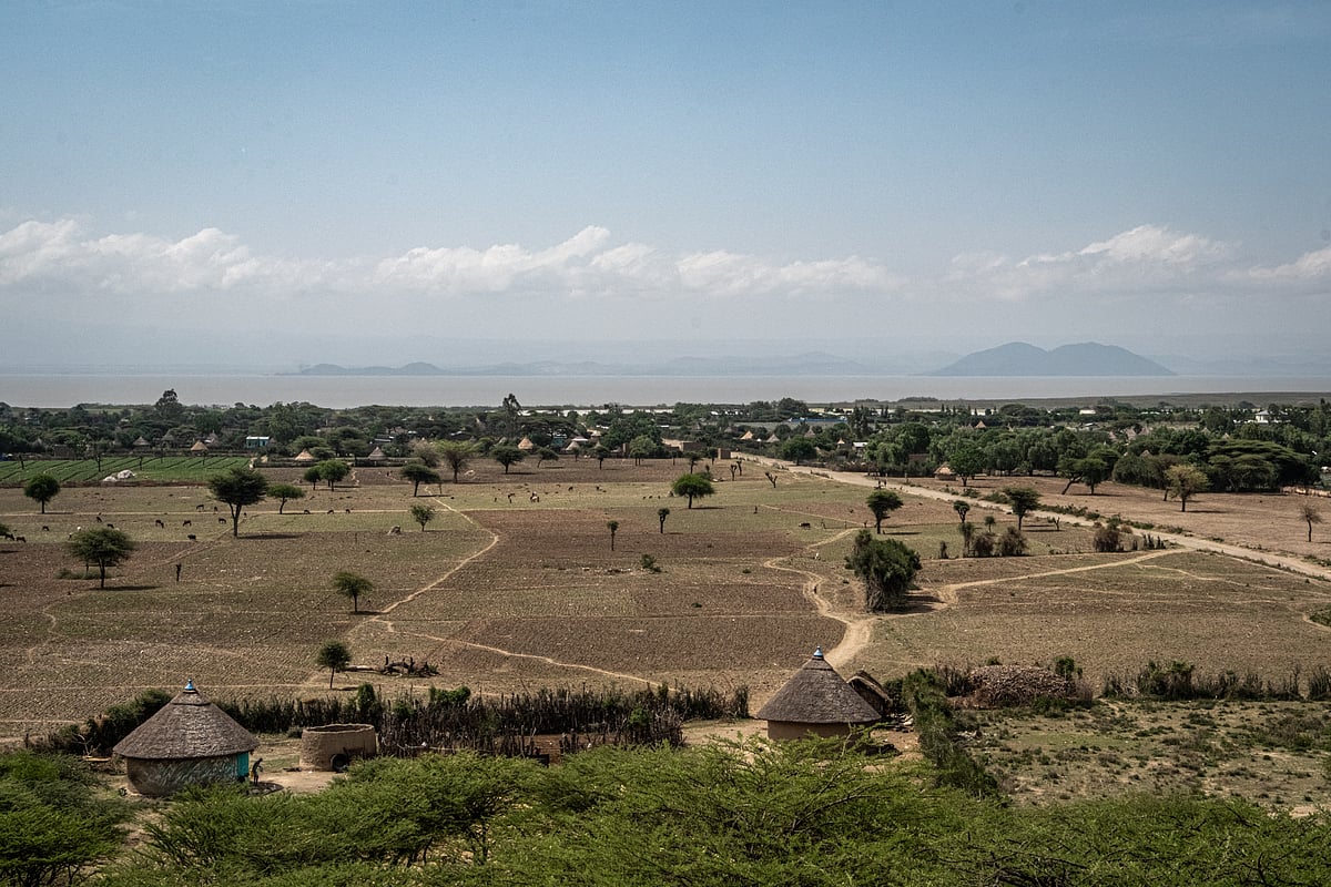 Rift Valley fever outbreak kills 20 in Senegal