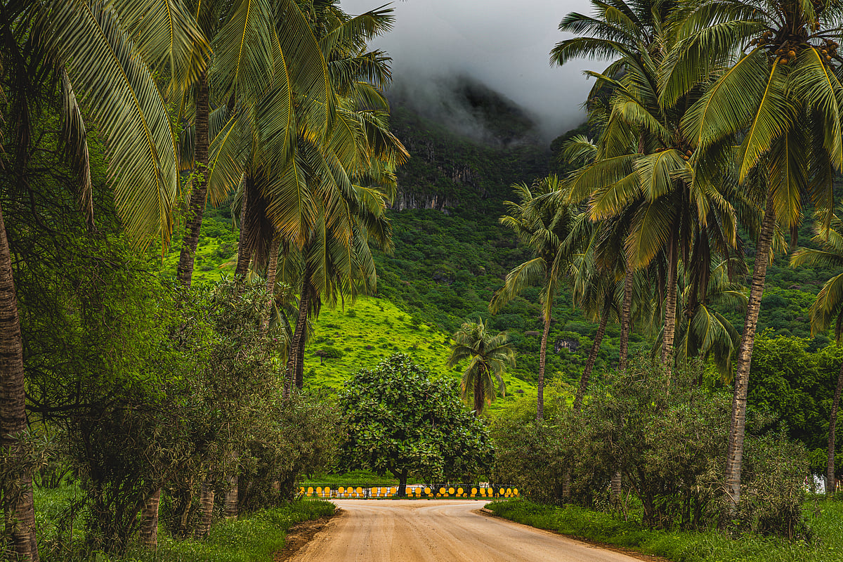 Salalah Khareef Season 2026 Guide: Best Time to Visit, Weather ...