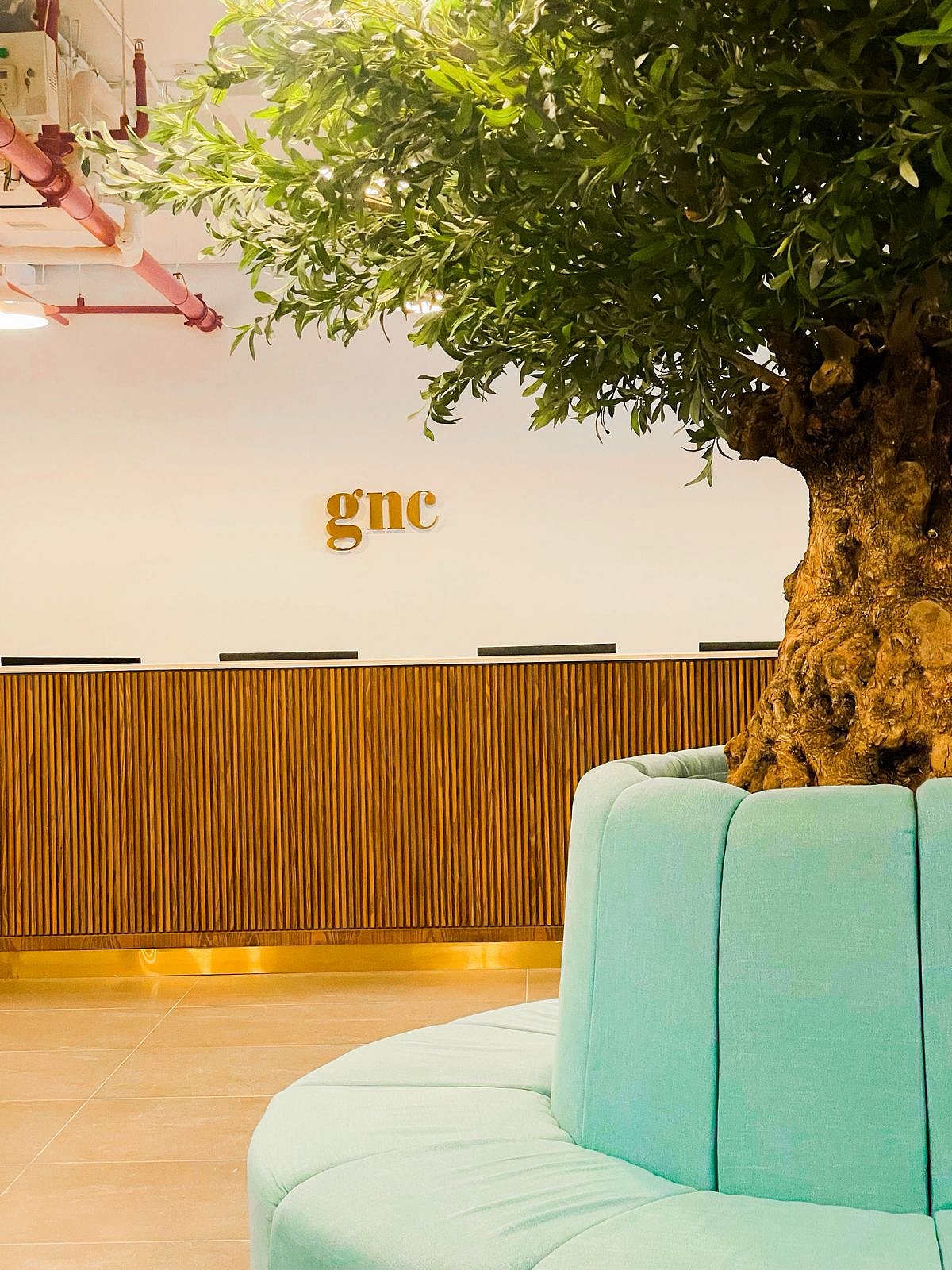 The German Neuroscience Center expands its operations and introduces ...