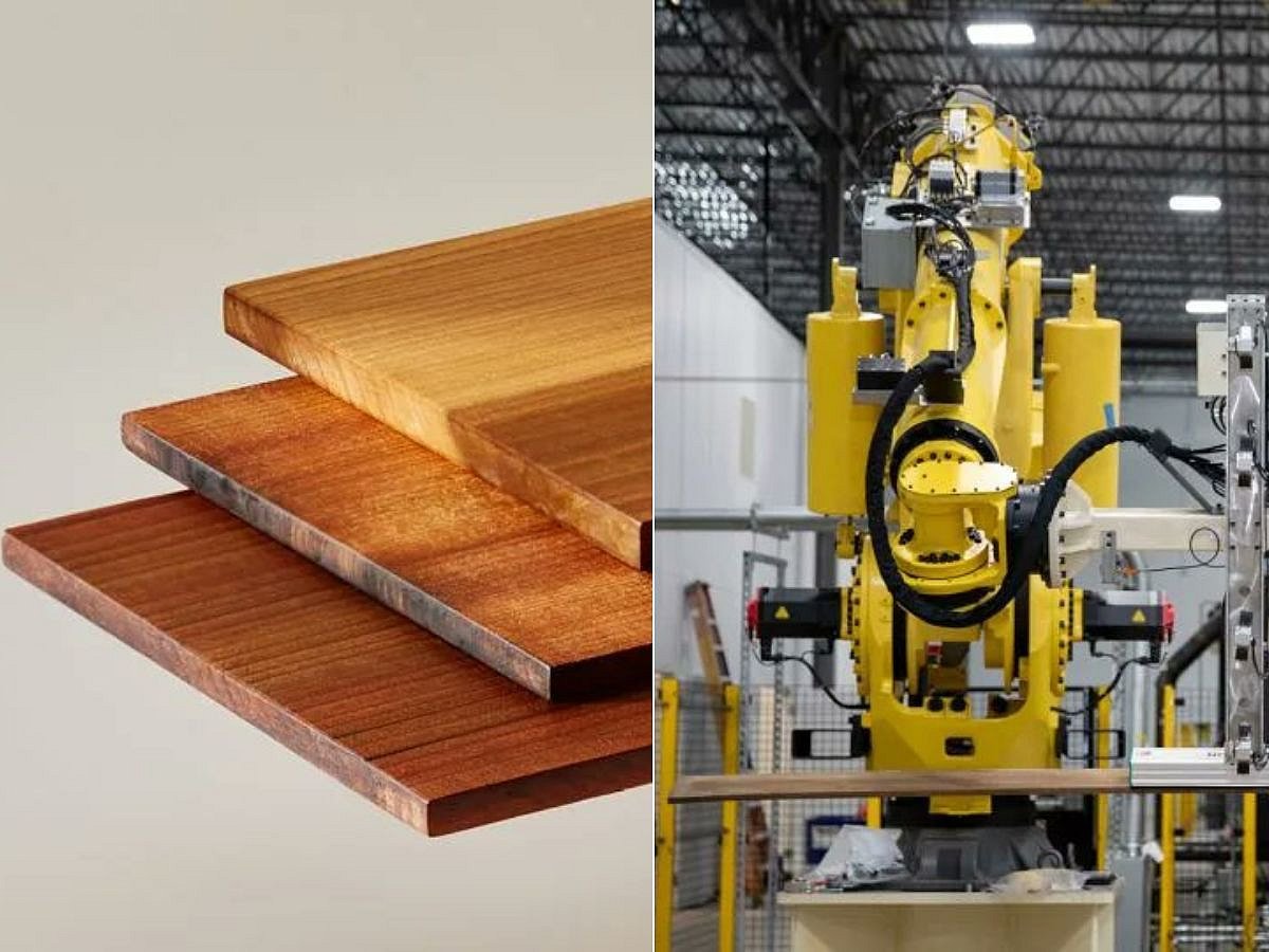 'Superwood' could outmuscle steel — and it’s still just wood