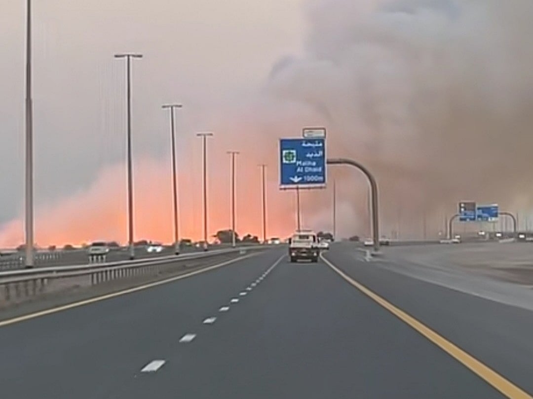 Sharjah: Massive fire at Al Dhaid animal feed facility brought under ...