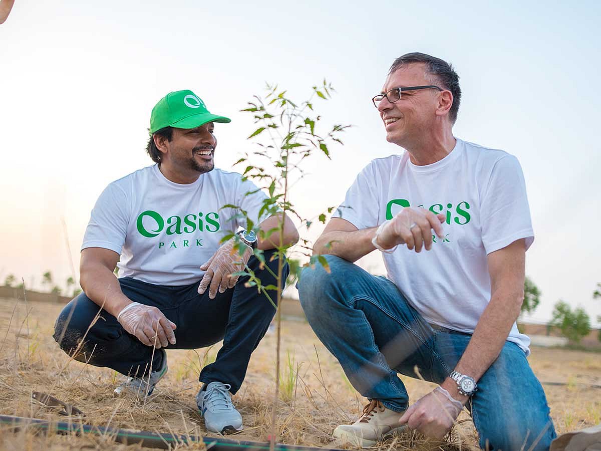 Oasis Park: The green heart of the world’s first sustainable draw– O ...