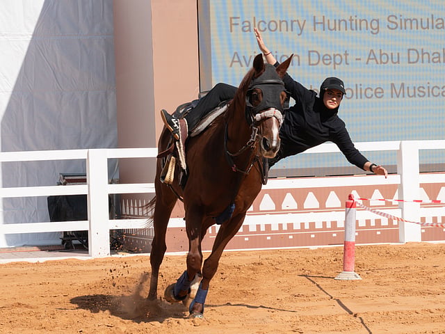 Look: Al Ain’s first hunting and equestrian exhibition brings heritage ...
