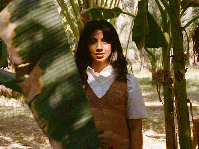 Edible myths: Moza Almatrooshi’s art of food, memory, and ecology