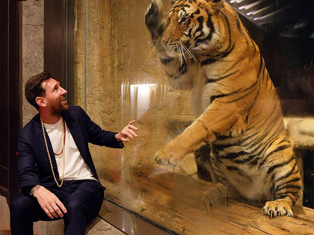 Messi's Heartwarming Encounter: Football with Baby Elephant at Vantara
