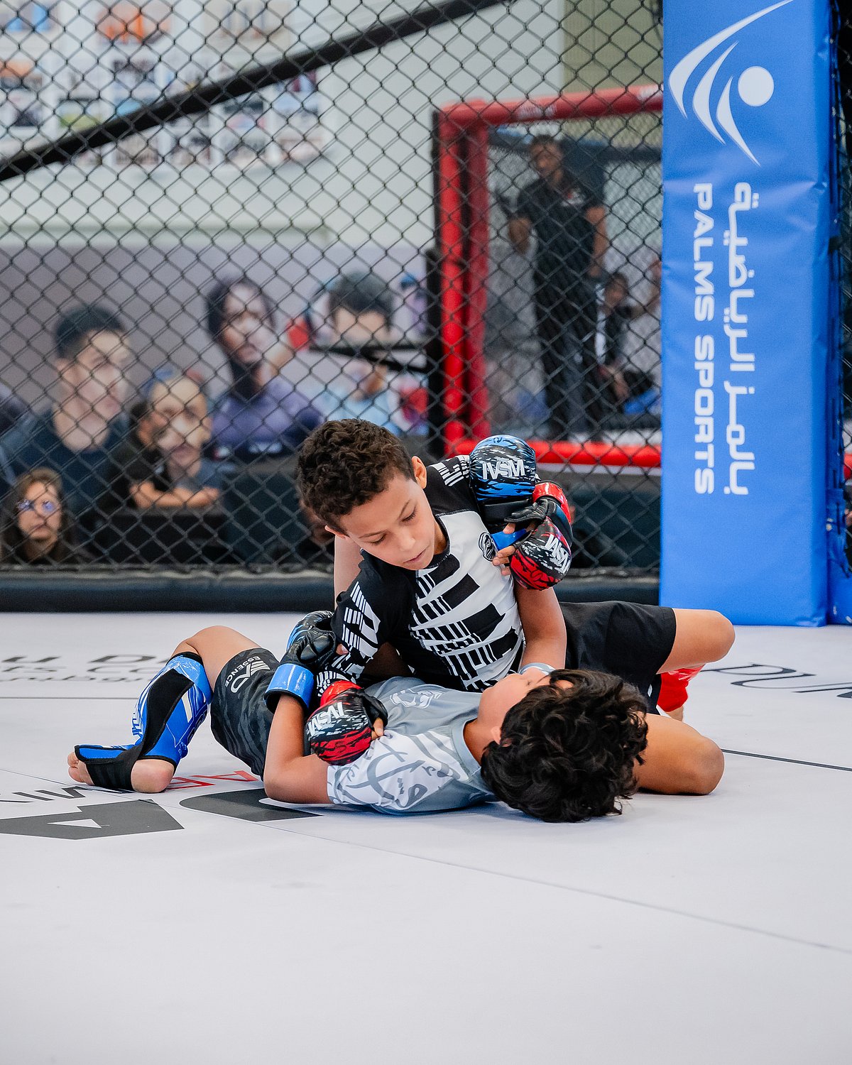 UAE National MMA Championship 1: Hundreds of Athletes Set to Compete in ...