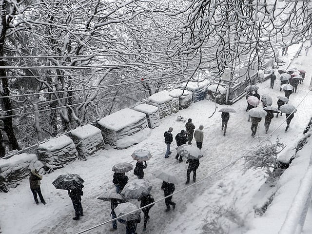 Himachal Pradesh's Shimla and Manali Turn into Winter Wonderlands