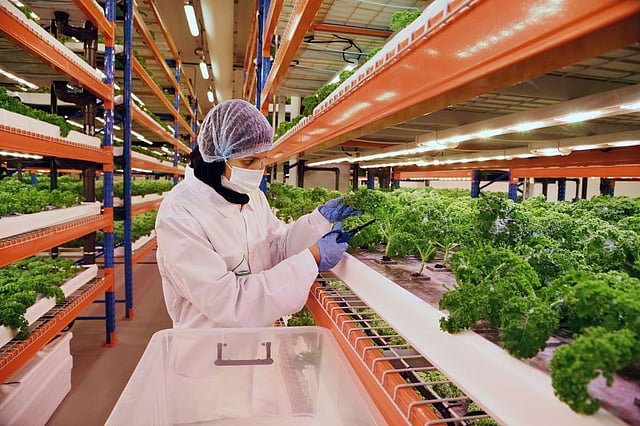 UAE pushes food security strategy with new climate-smart agricultural ...