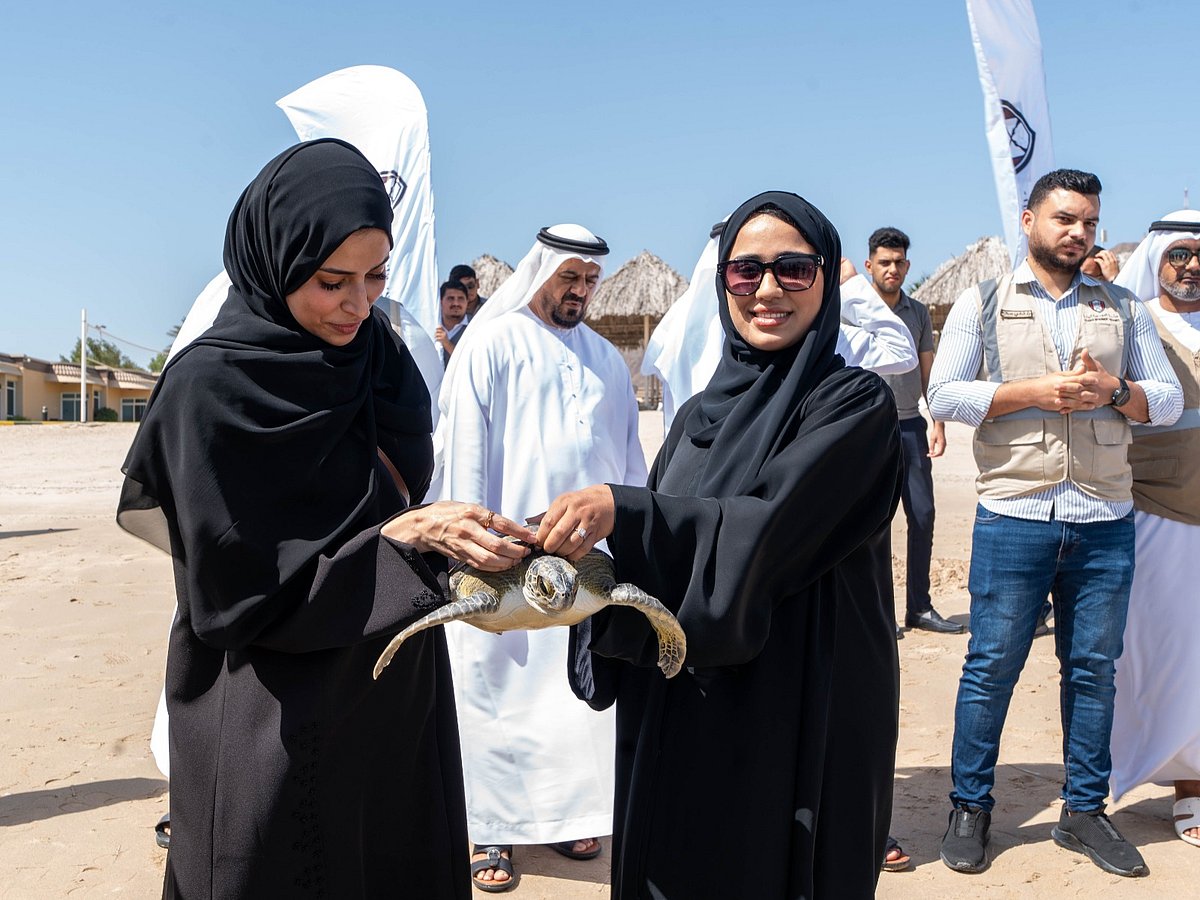 Fujairah discovers 3 sea turtle nesting sites, releases rare Hawksbill ...