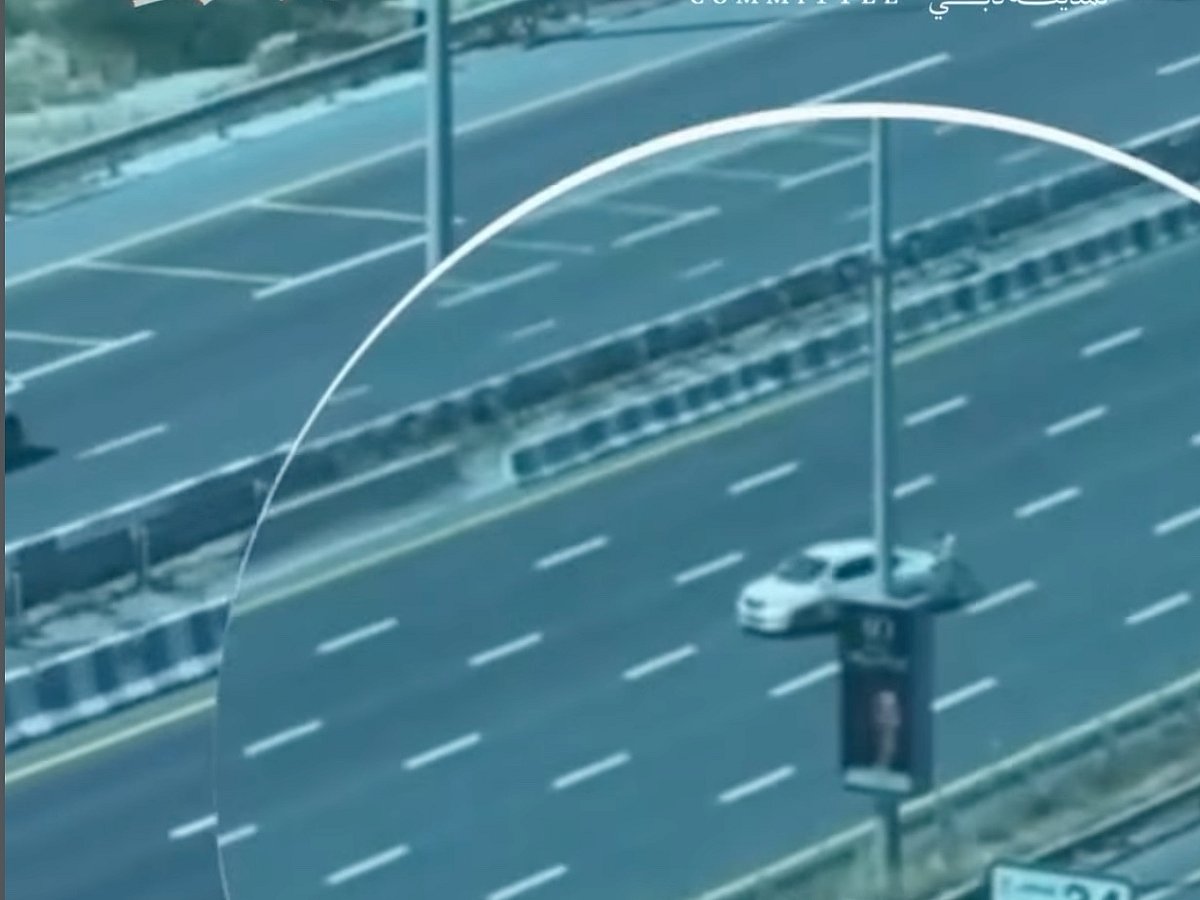 Dubai police halt traffic on Sheikh Zayed road to rescue stranded ...