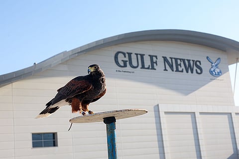 Latest Football News & Scores | Gulf News