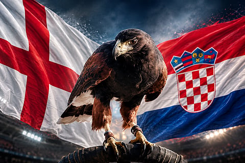 Shawk the Hawk Predictions