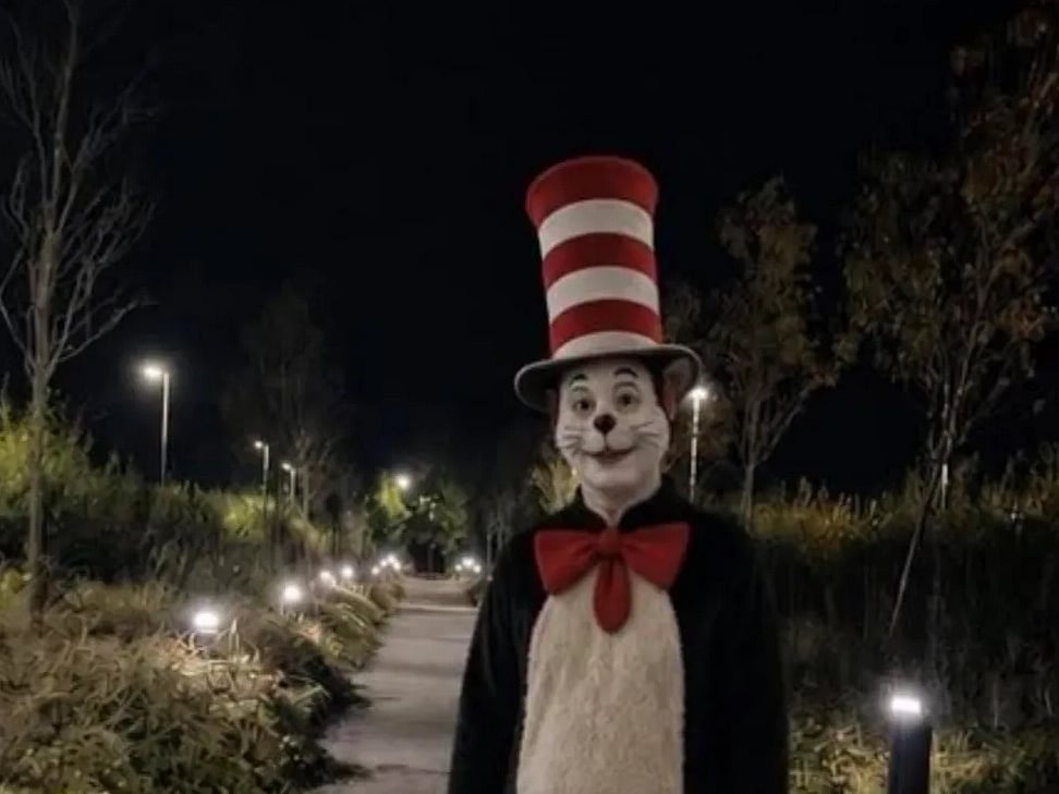 Cat In The Hat Tiktok Trend Police In Uk And Ireland Confirm It Is Fake