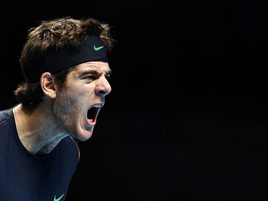 Juan Martin del Potro to face Milos Raonic in Japan Open final
