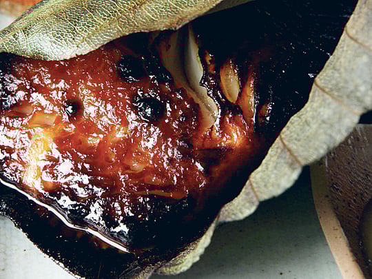 Zuma: Cod and bowled