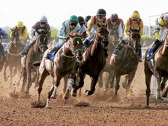 Birthday boy Murgia comes out tops in tight race with Bentley