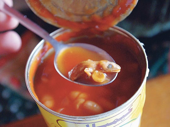 Man shocked to find half a lizard in can of baked beans from Dubai store