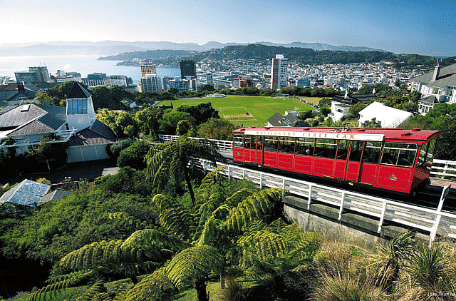 Windy Wellington