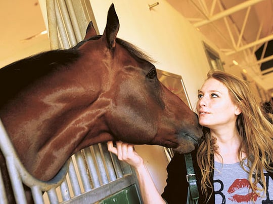 Horsing around at the Meydan Stable Tour