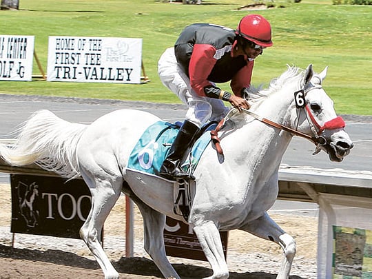 So Big wins big for trainer Shelley