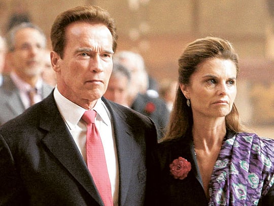 Hasta La Vista, Arnie