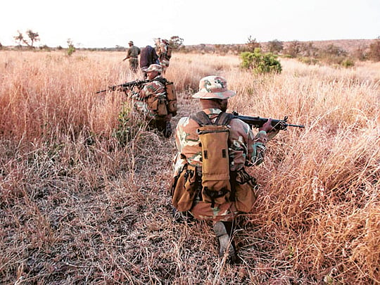 Armed poachers becoming aggressive in hunt for rhino horns