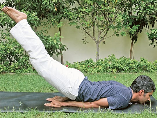 As lively as a locust