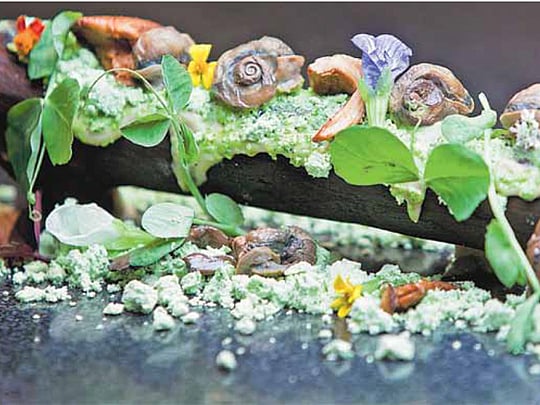 Secrets of a snail whisperer